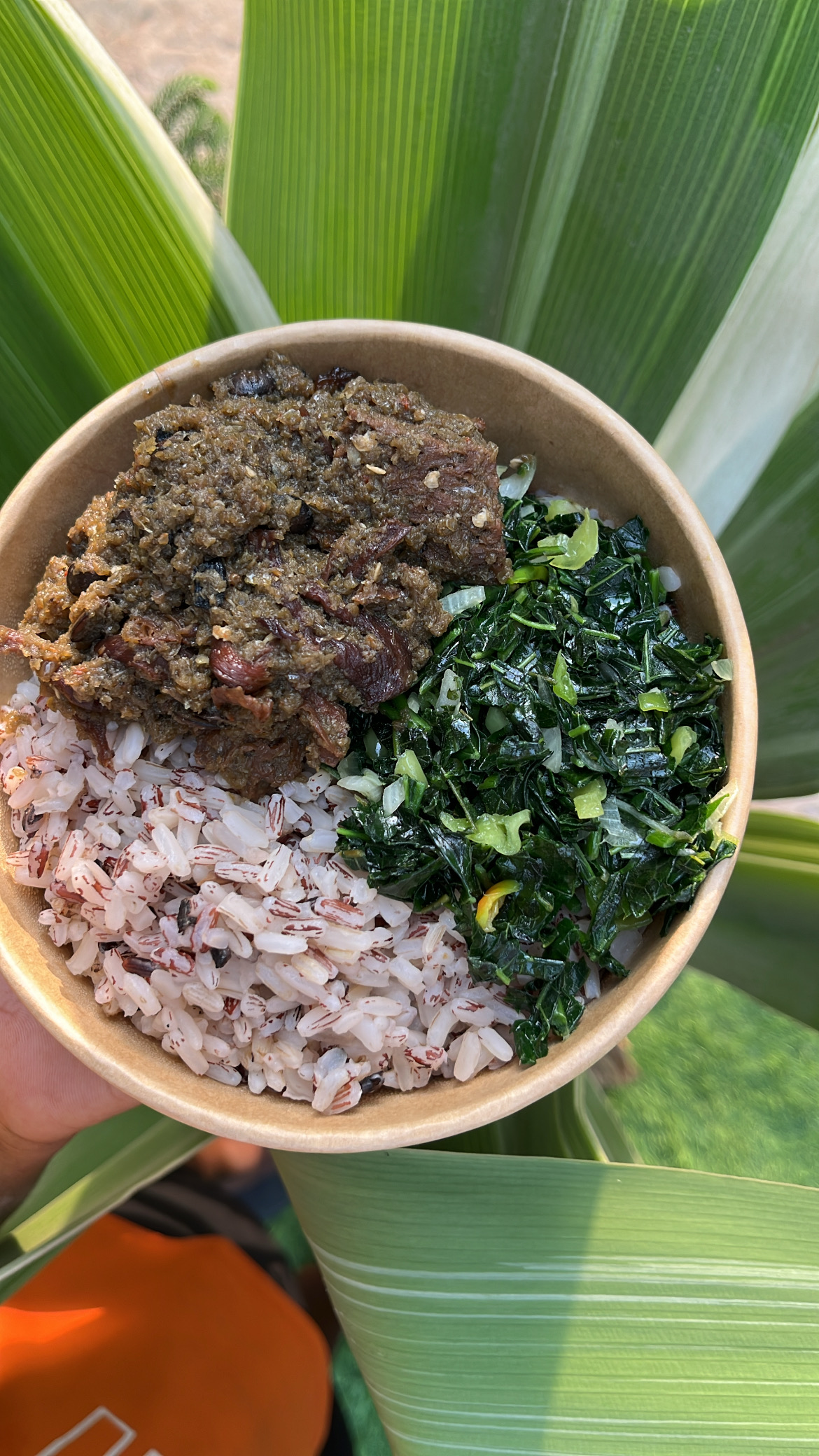 Ofada Rice – VeggieVictory